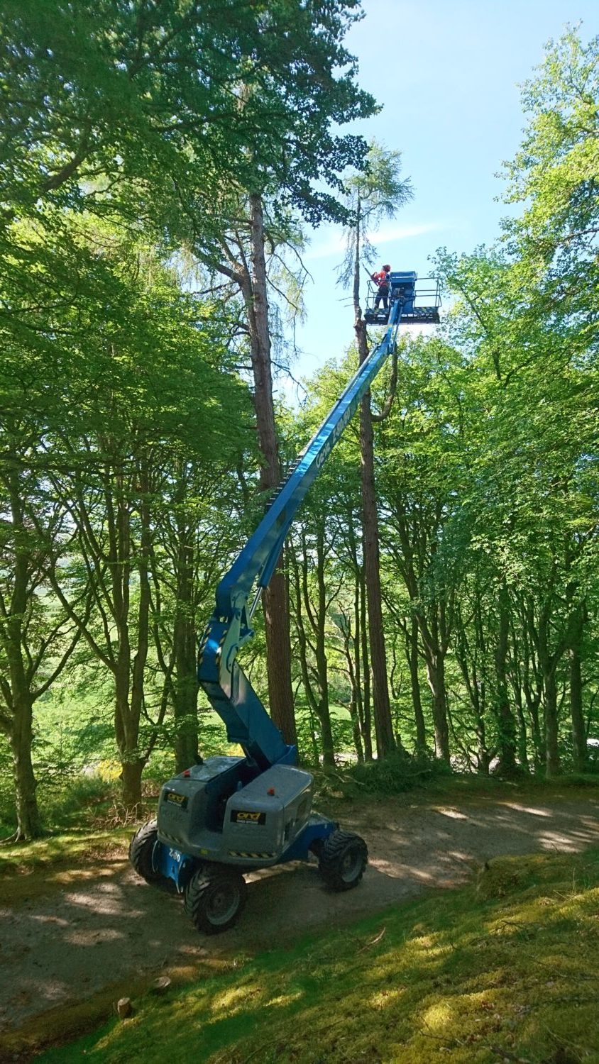 Our Work - Duncan Wemyss Ltd - Environmental Forestry Services